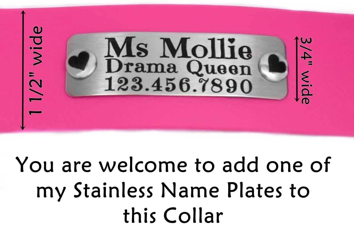 Wide Biothane Collar 1 1/2" - Collars by Kitt